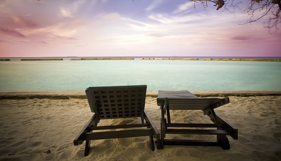 Fineus – Financial expert for unique solution